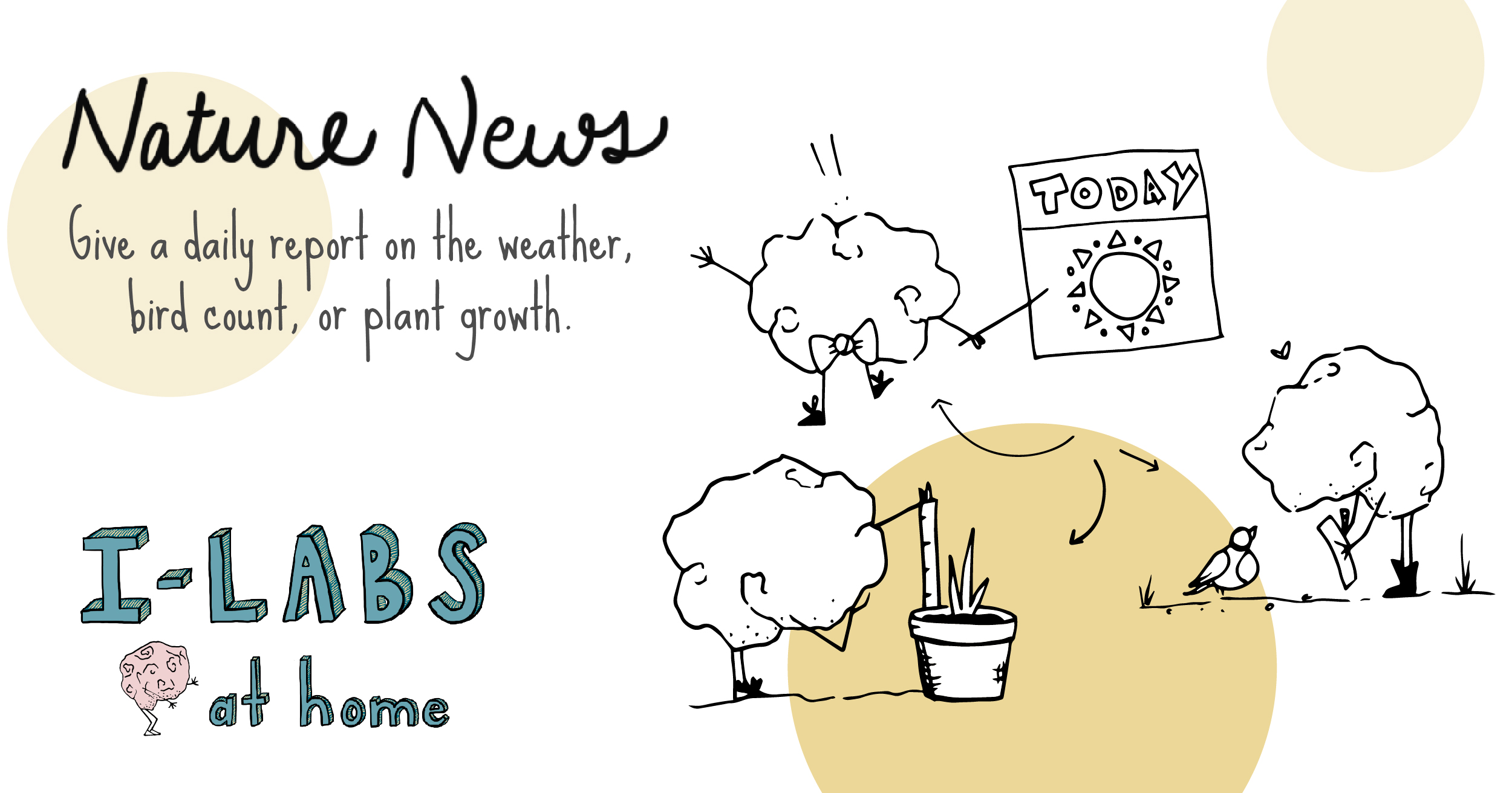 Infographics | Institute for Learning and Brain Sciences (I-LABS)