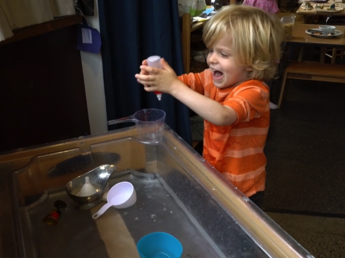 Scaffolding Science | Institute for Learning and Brain Sciences (I-LABS)