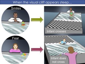 Visual Cliff Experiment | Institute for Learning and Brain Sciences (I ...