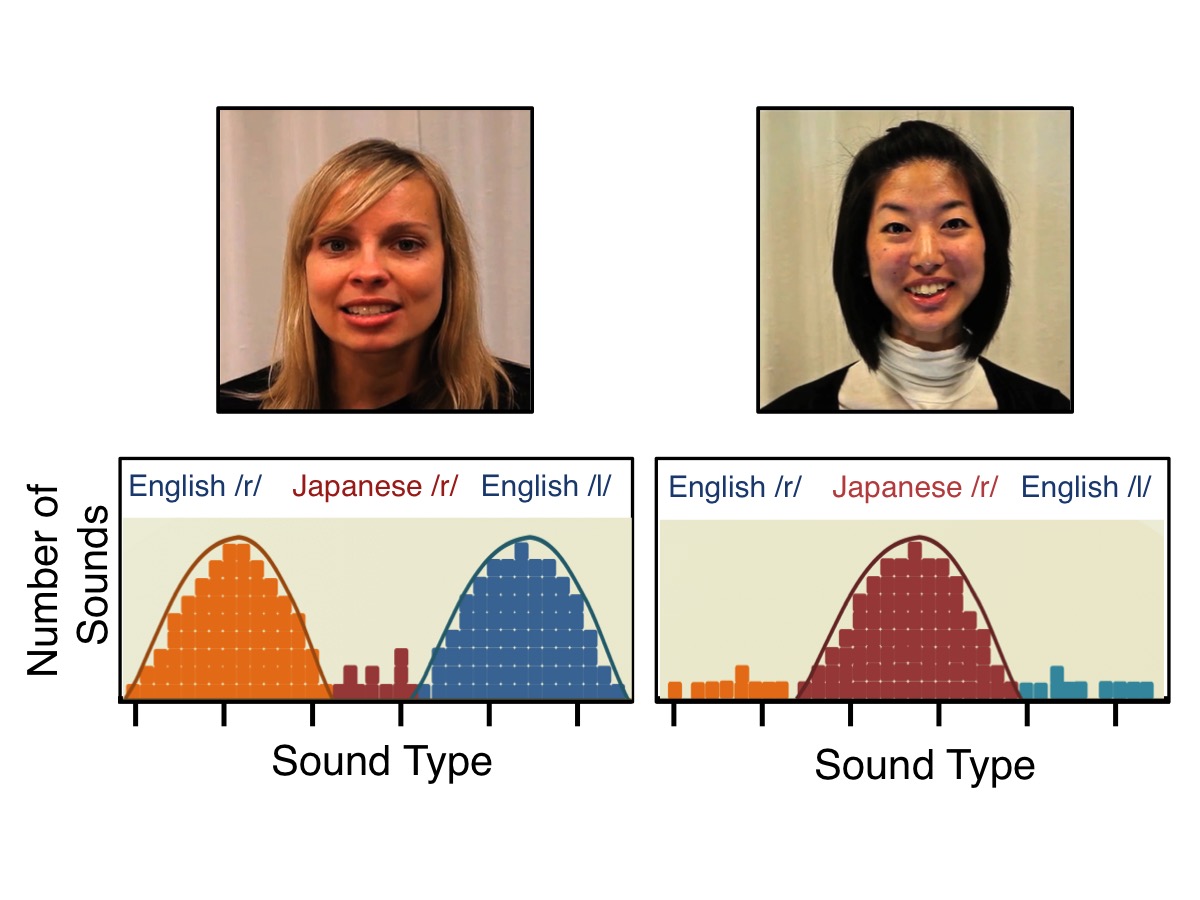 Infants Compute Statistics | Institute for Learning and Brain Sciences ...