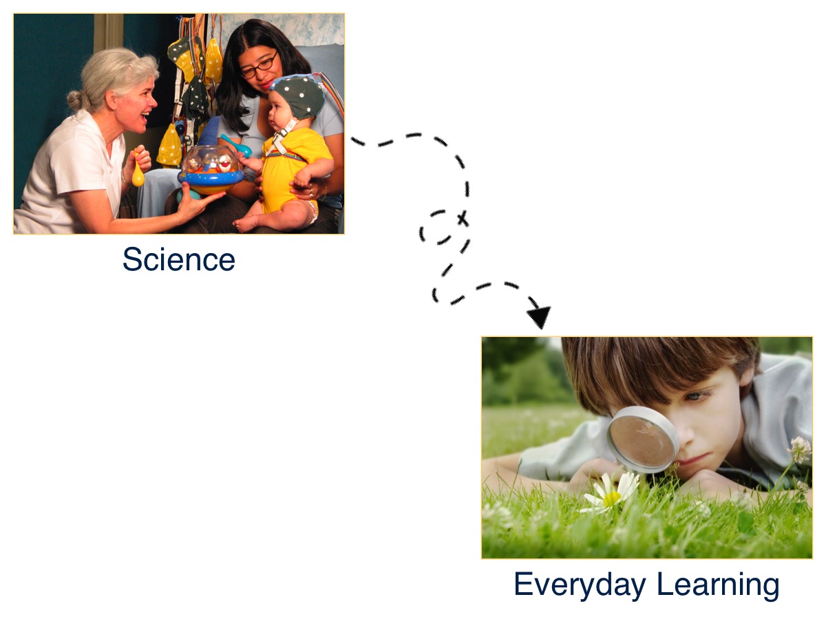 Connecting Science and Practice | Institute for Learning and Brain ...