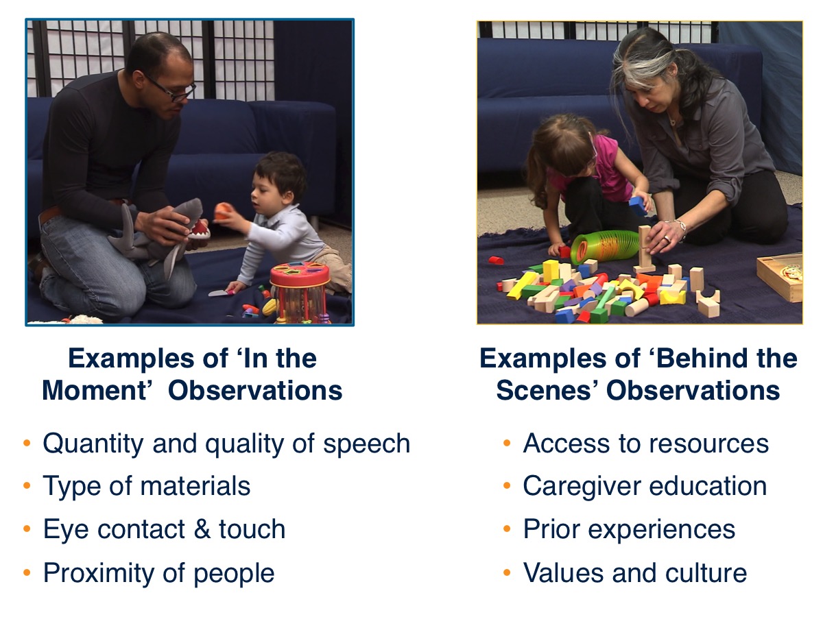 Different Levels of Observation | Institute for Learning and Brain ...