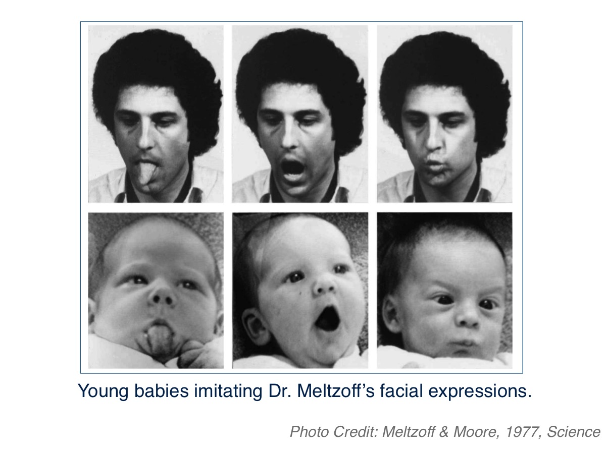 Imitation From Birth | Institute for Learning and Brain Sciences (I-LABS)