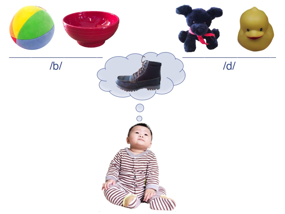 Categorización del habla | Institute for Learning and Brain Sciences (I ...