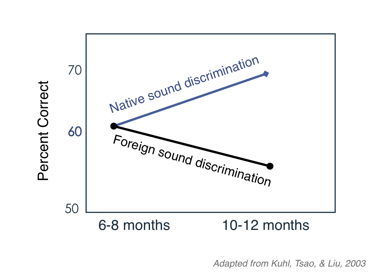Becoming a Native Language Specialist | Institute for Learning and ...