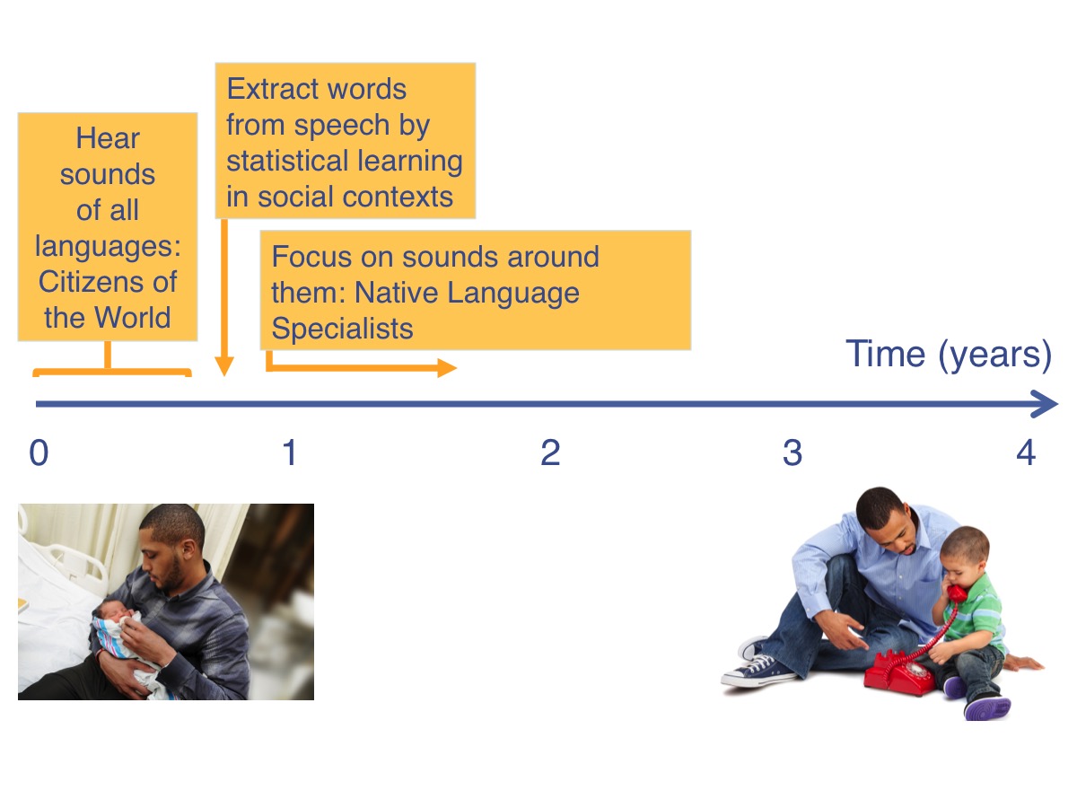 From Listening to Speaking | Institute for Learning and Brain Sciences ...