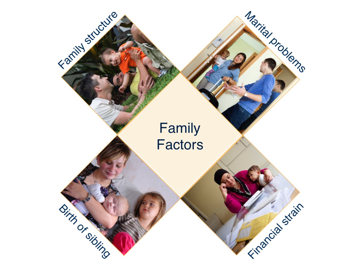 Family Factors | Institute for Learning and Brain Sciences (I-LABS)