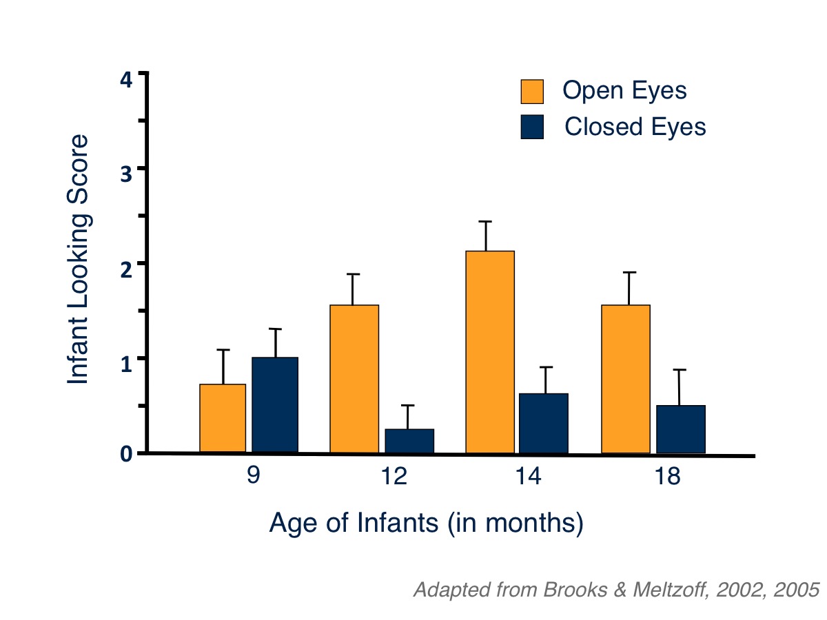 Gaze-Following Research | Institute for Learning and Brain Sciences (I ...