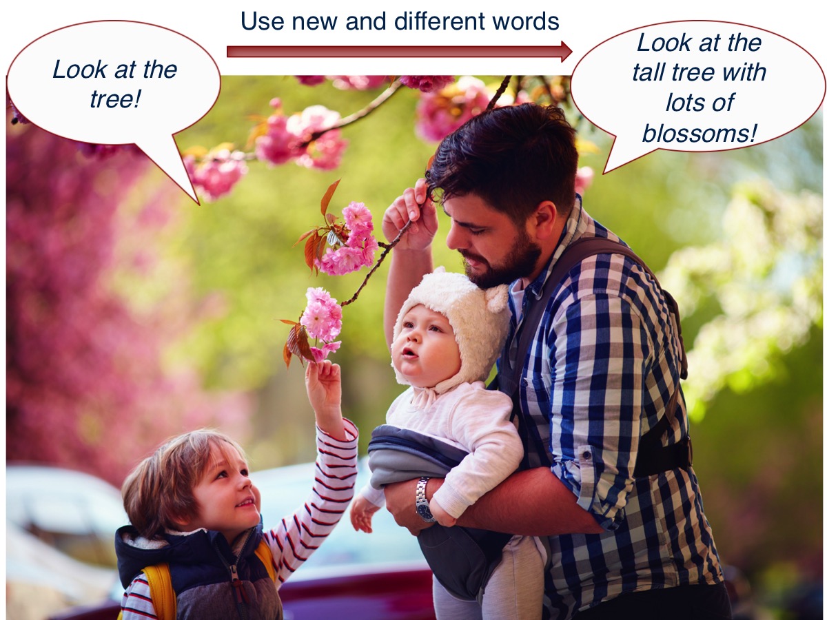 What Grows a Child's Language? | Institute for Learning and Brain ...